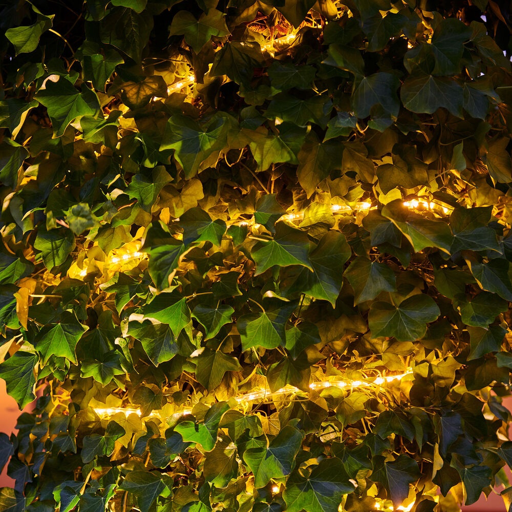 Sirius Tech-Line, Lysreb, startsæt, 4 m, 144 LED - Køb Lyskæder online