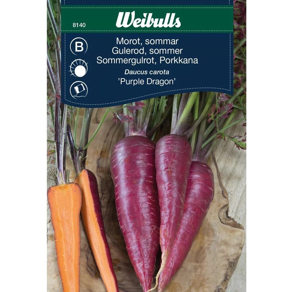 Frø, gulerod, Daucus Carota Purple Dragon - Silvan