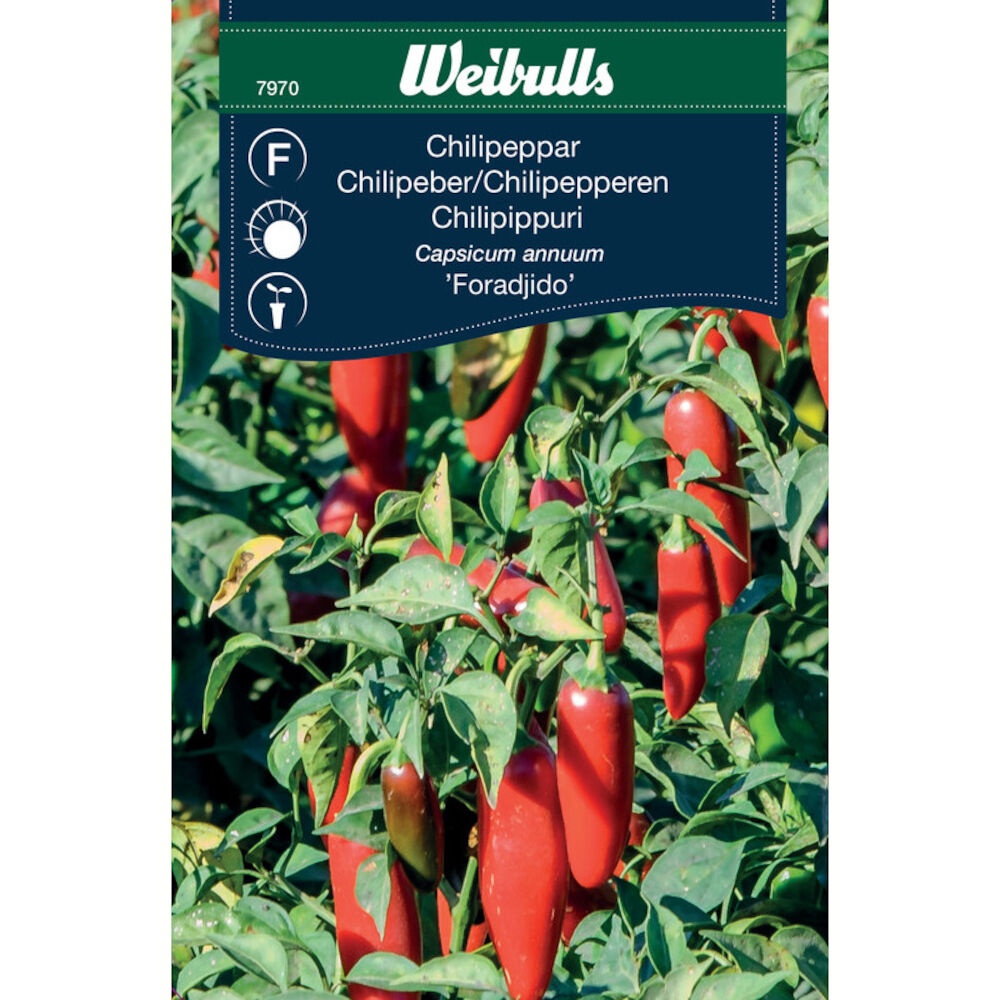 Frø, Chili, Foradjido - Køb Grøntsagsfrø online