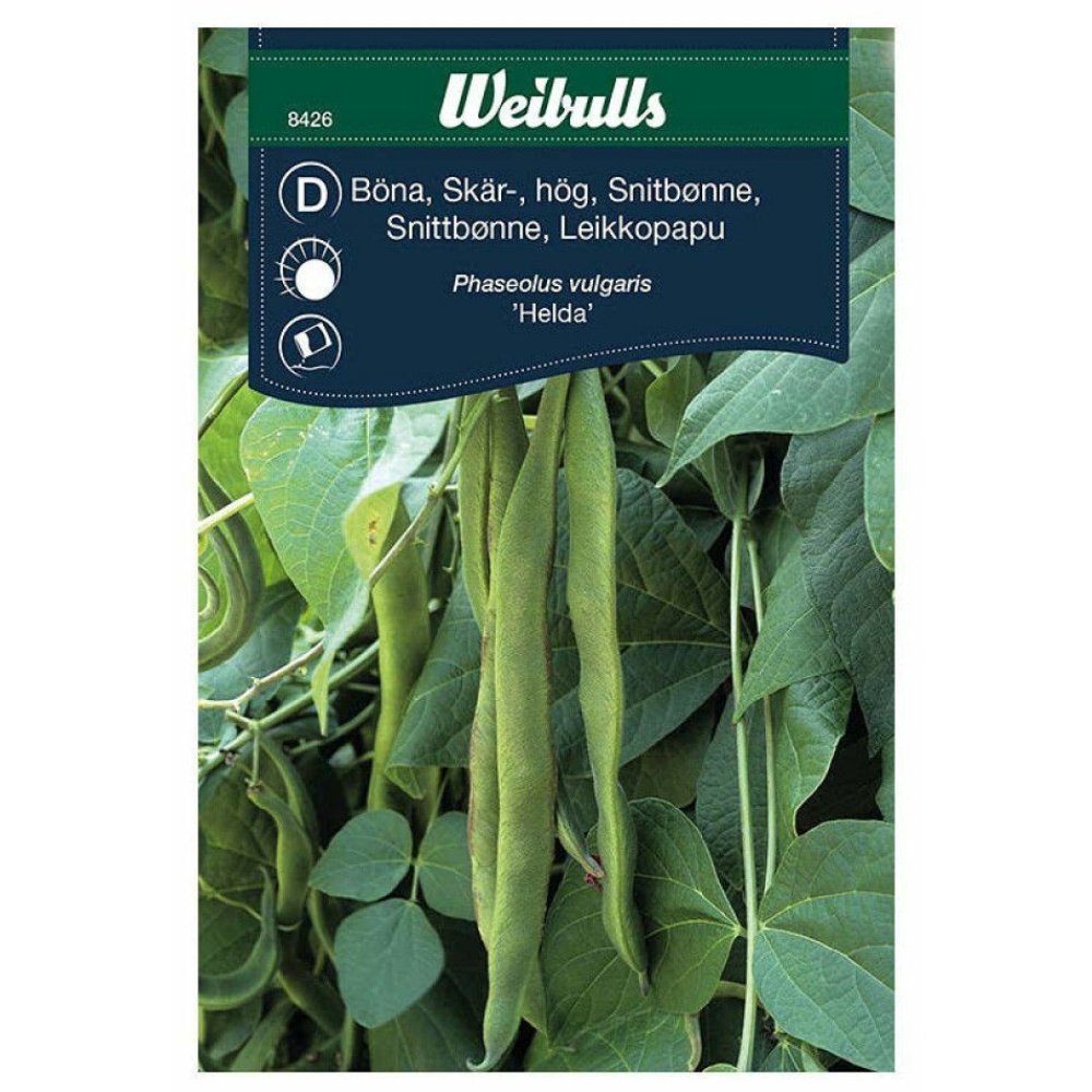Frø, snitbønne, Phaseolus vulgaris helda - Silvan