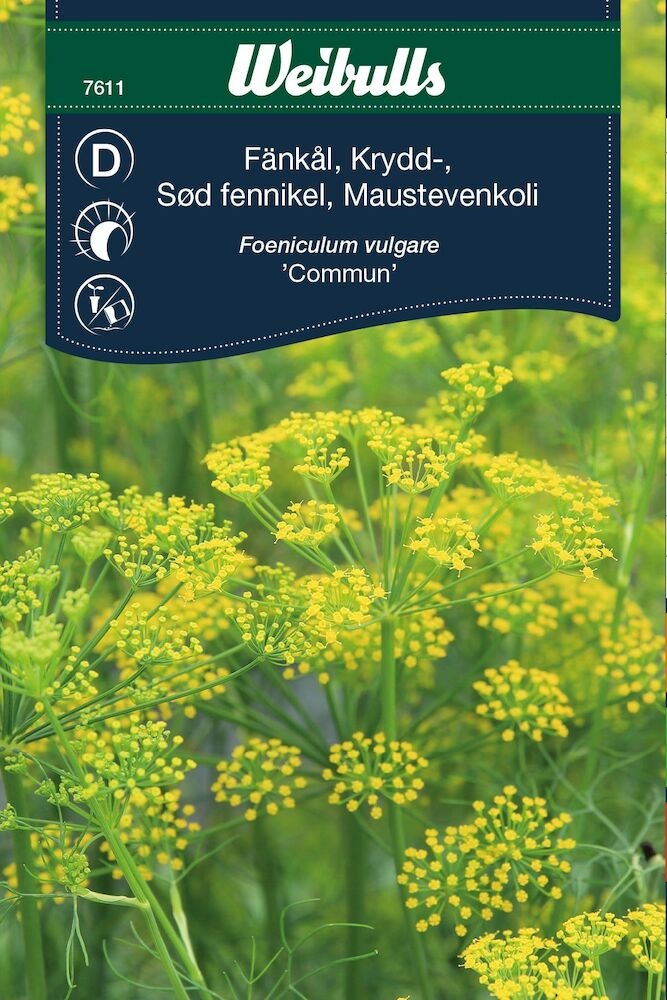Frø, sød fennikel, Foeniculum vulgare commun - Silvan