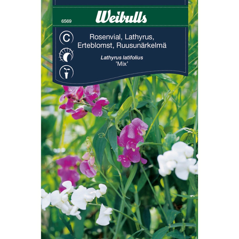Blomsterfrø, Lathyrus, mix - Silvan