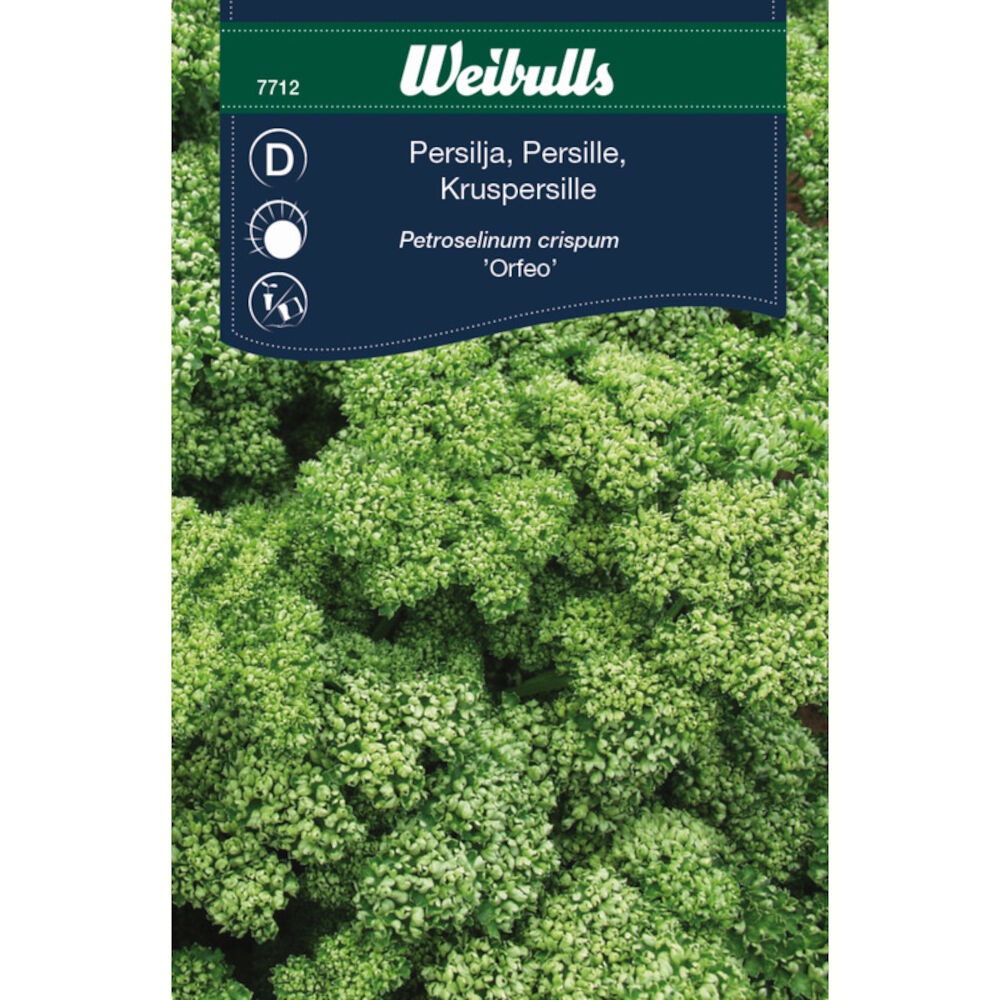 Frø, Persille, Paravert - Køb Krydderurter online