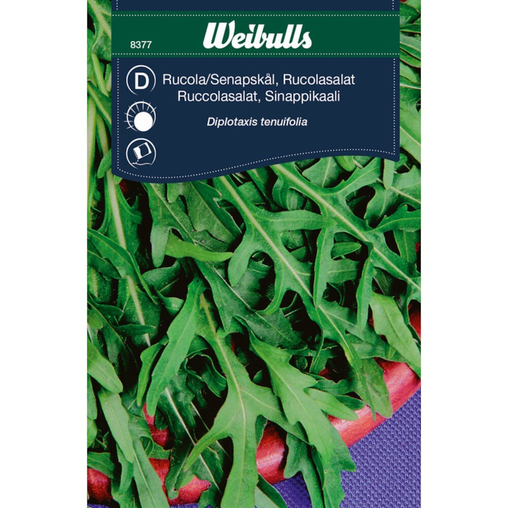 Frø, Rucola, vild - Silvan