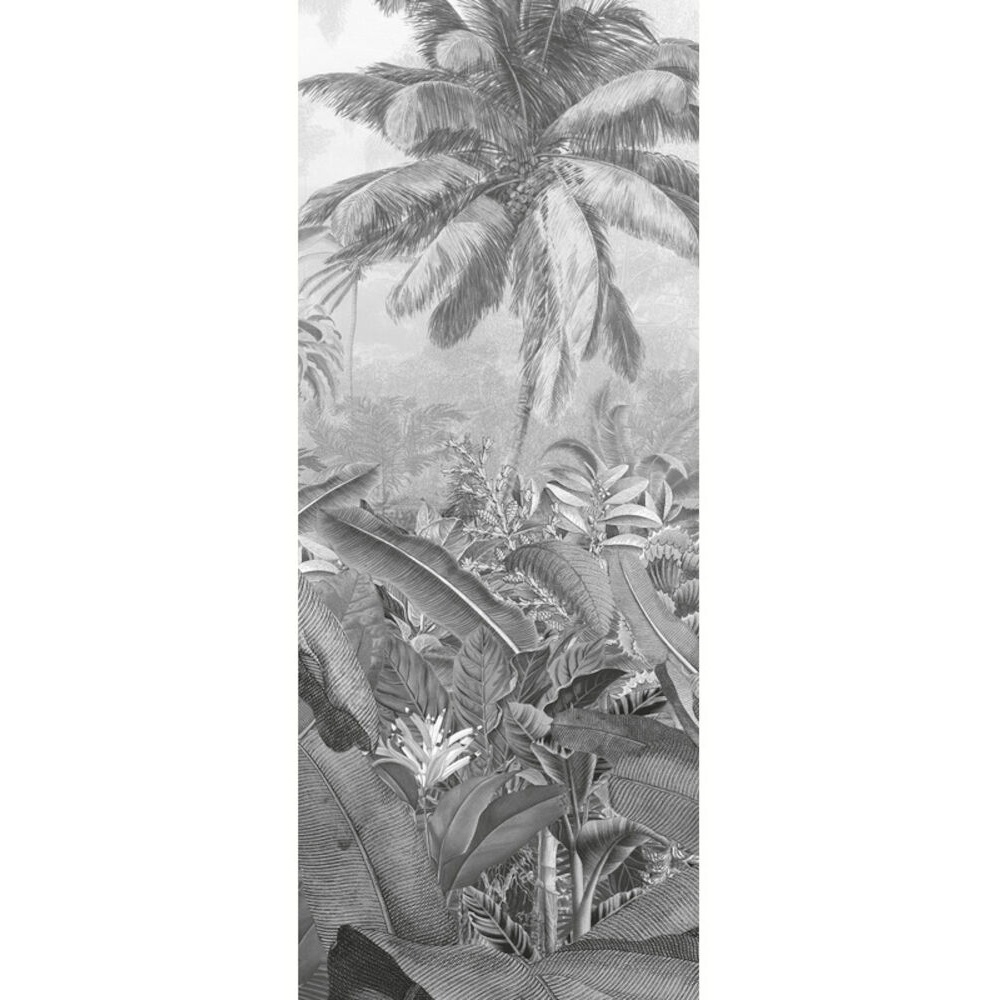 Komar, Fototapet, Amazonia Black & White Panel - Silvan