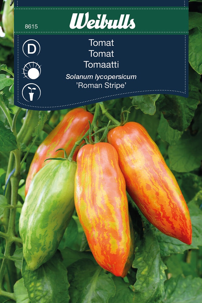 Frø, tomat, Solanum Lycopersicum Roman Stripe - Silvan